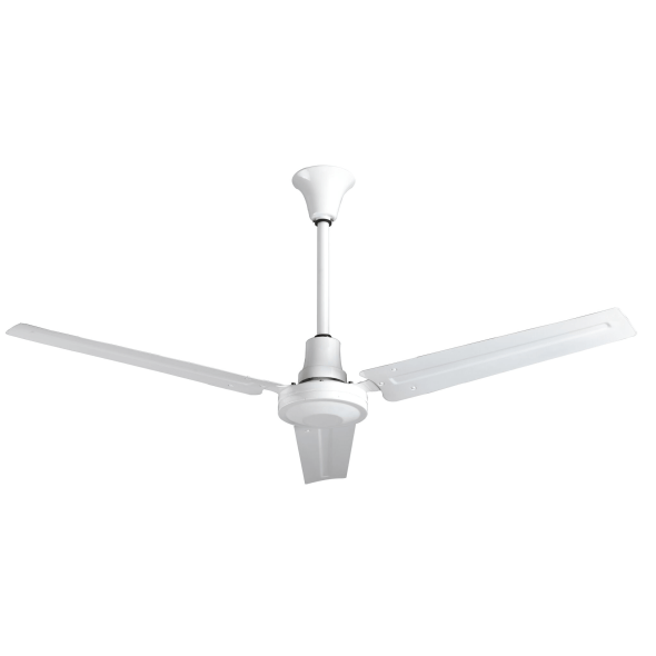Industrial 60 Inch White Moisture Resistant Reversible Ceiling Fan ...