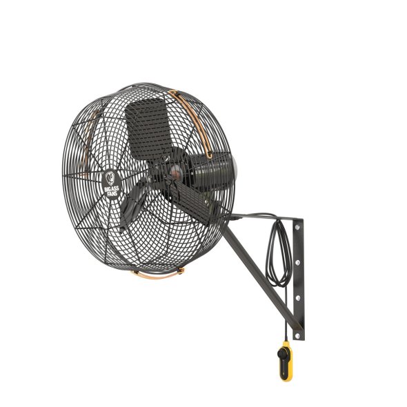 Aireye Black Directional Wall Mount Fan 30 inch w/ 18 ft Cord Variable ...